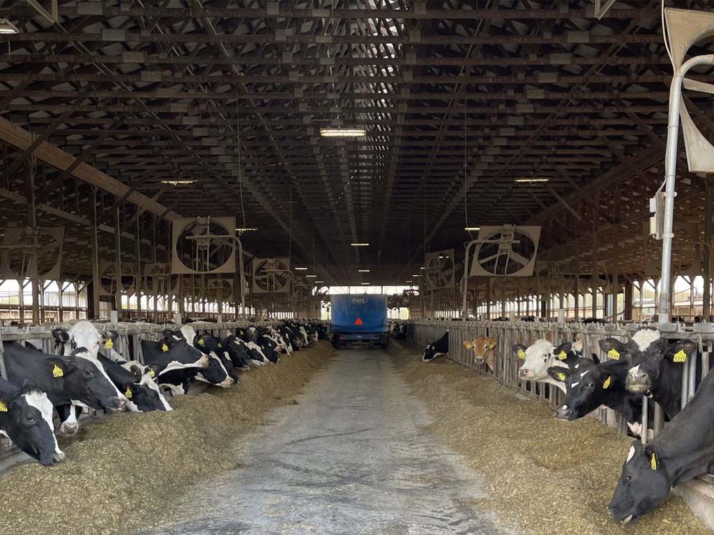 Volume. Measured. RAPID, a Digital Inventory Technology by RealmFive